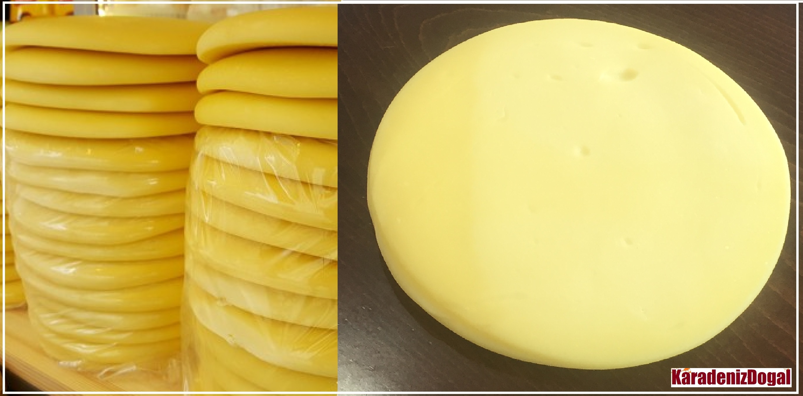 Kolot Peyniri 1Kg – KaradenizDogal.com